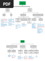 IAASB ISA 570 (Revised 2024), Going Concern Fact Sheet | PDF | Going Concern | Audit
