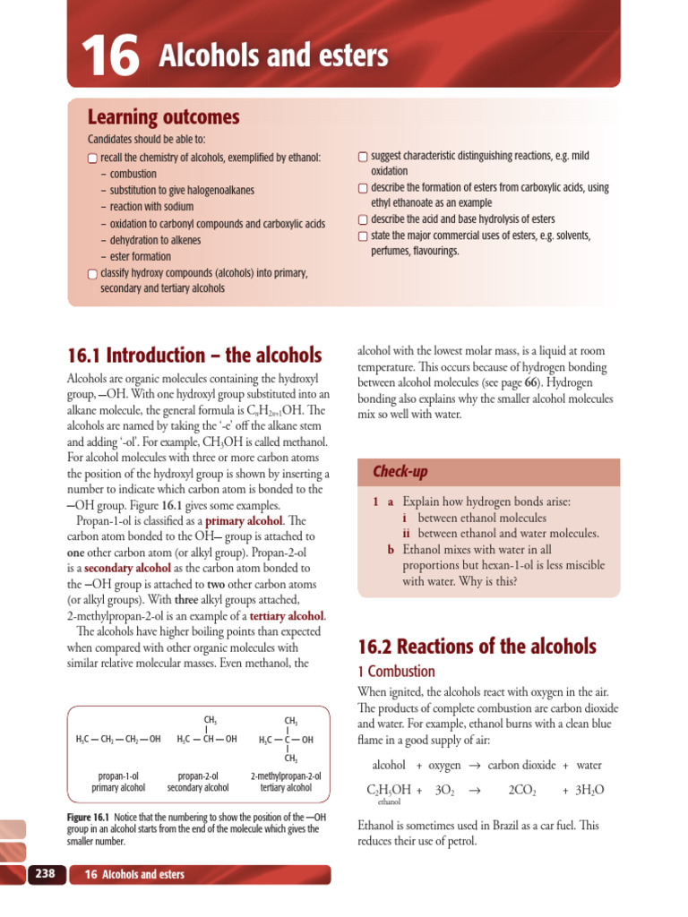 Alcohol and Ester Chapter | PDF | Ester | Ethanol
