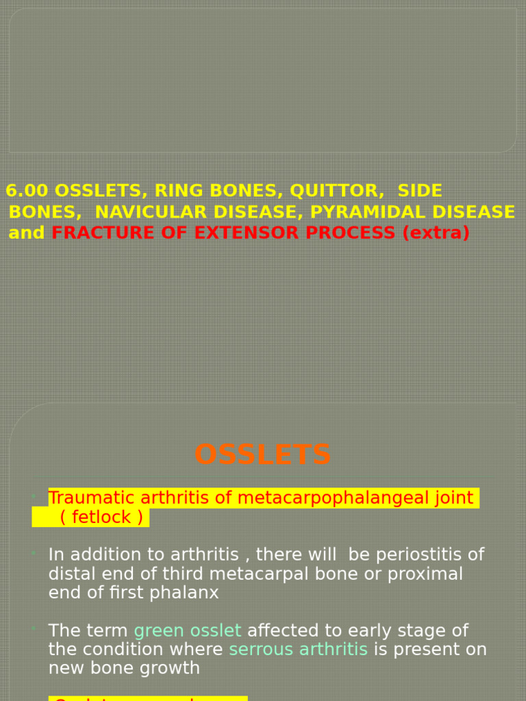 6.00 Osslets, Ringbone, Quittor, Sidebone, Navicular Disease ...