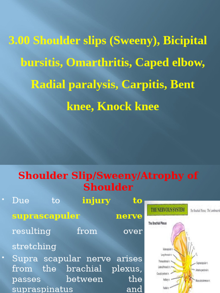3.00 Shoulder Slip (Sweeny), Bicipital Bursitis | PDF | Shoulder | Elbow