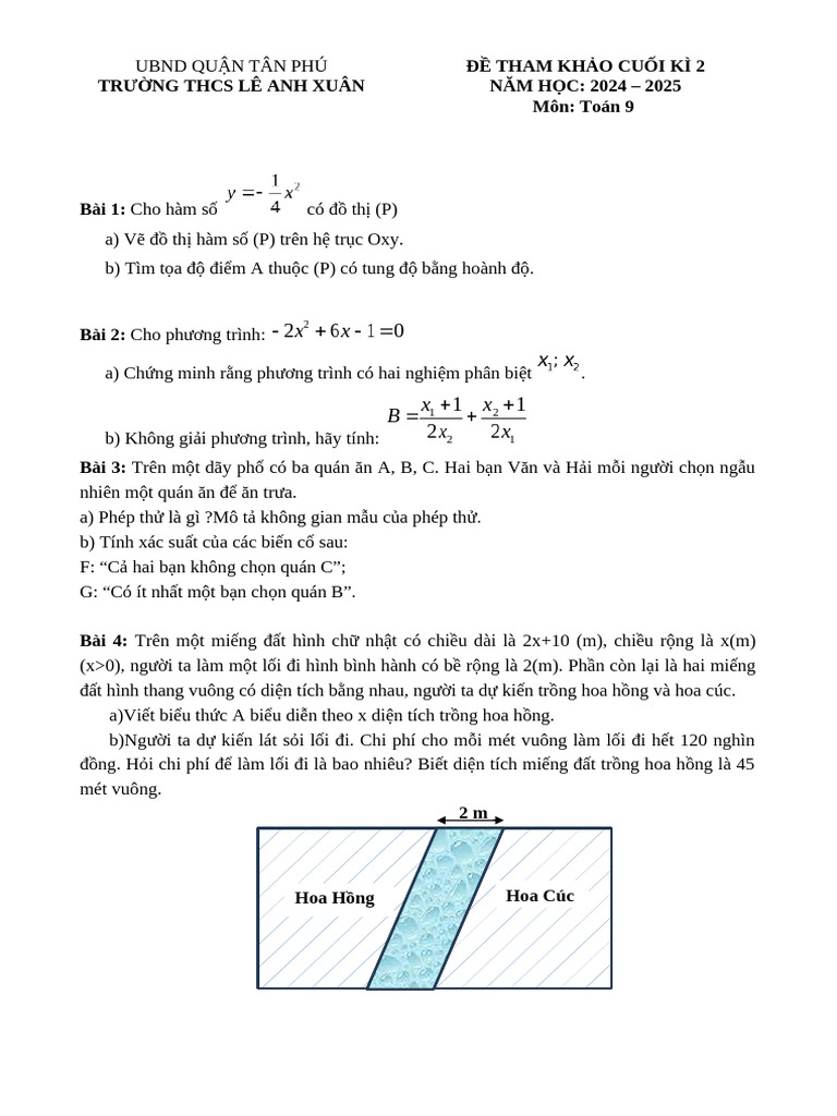 LeAnhXuan-Toan9 - Đề TK CK2-NH 2024-2025 | PDF