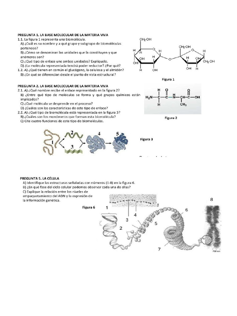 Repaso 1º Bloque | PDF