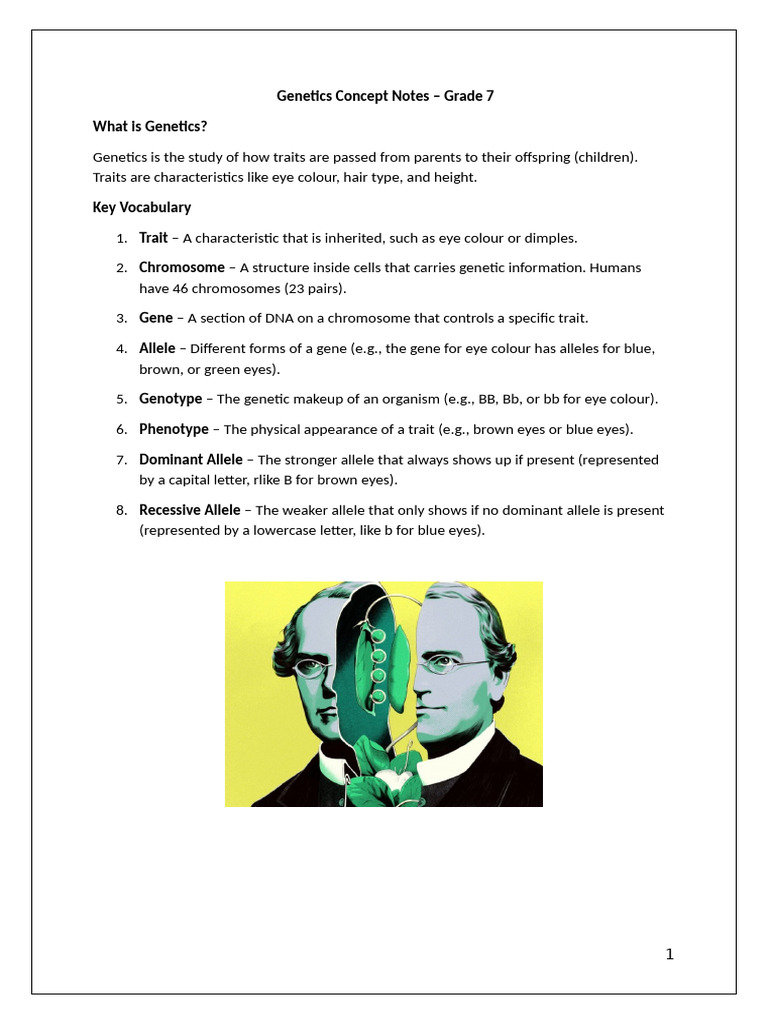 Toddle A9a093c1 6dc2 4284 83f5 82cc0fd19d36 Genetics Notes | PDF ...