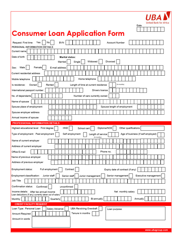 Consumer Loan Application Form Reviewed | PDF | Banks | Employment