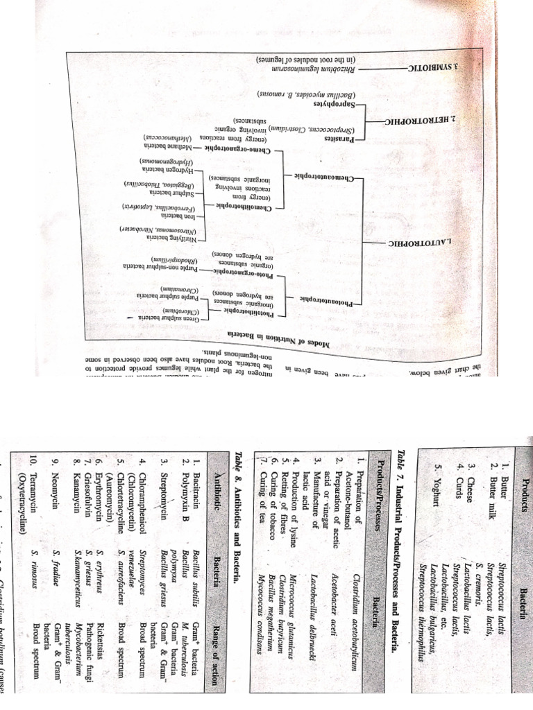Imp Tables of Bac Fungi Virus | PDF