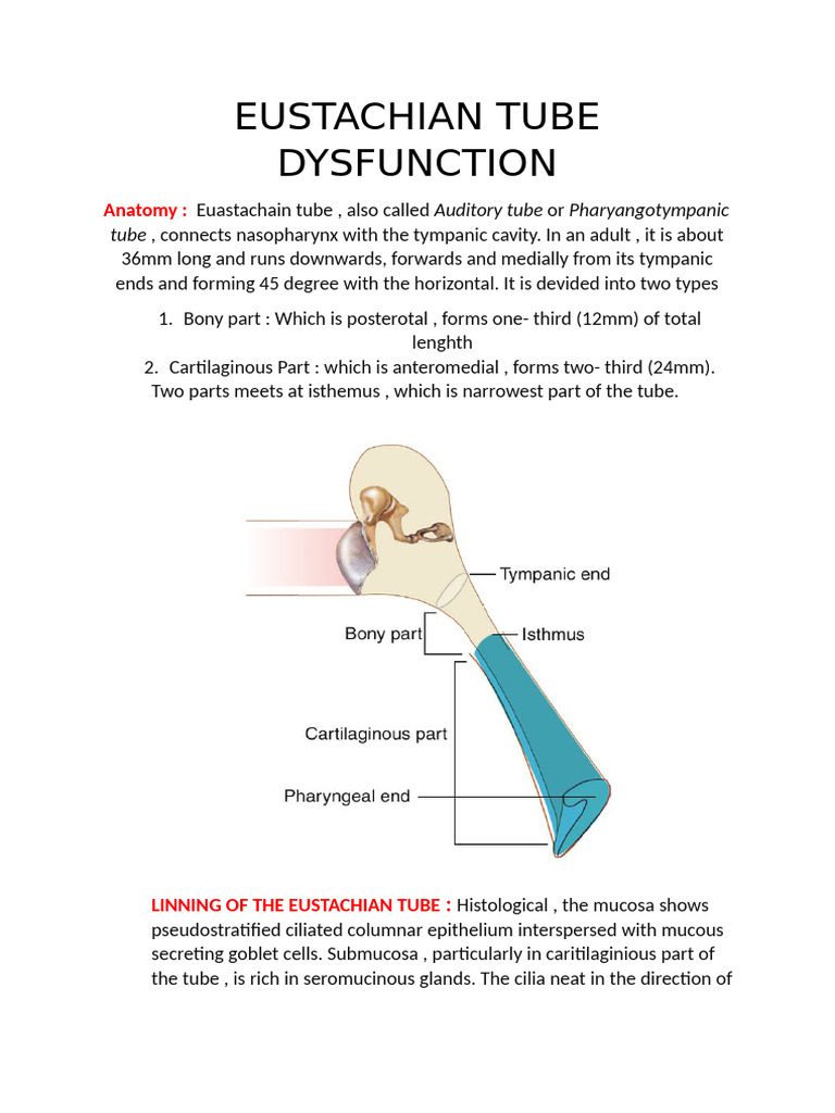 Eustachian Tube Dysfunction Pdf Ear Auditory System