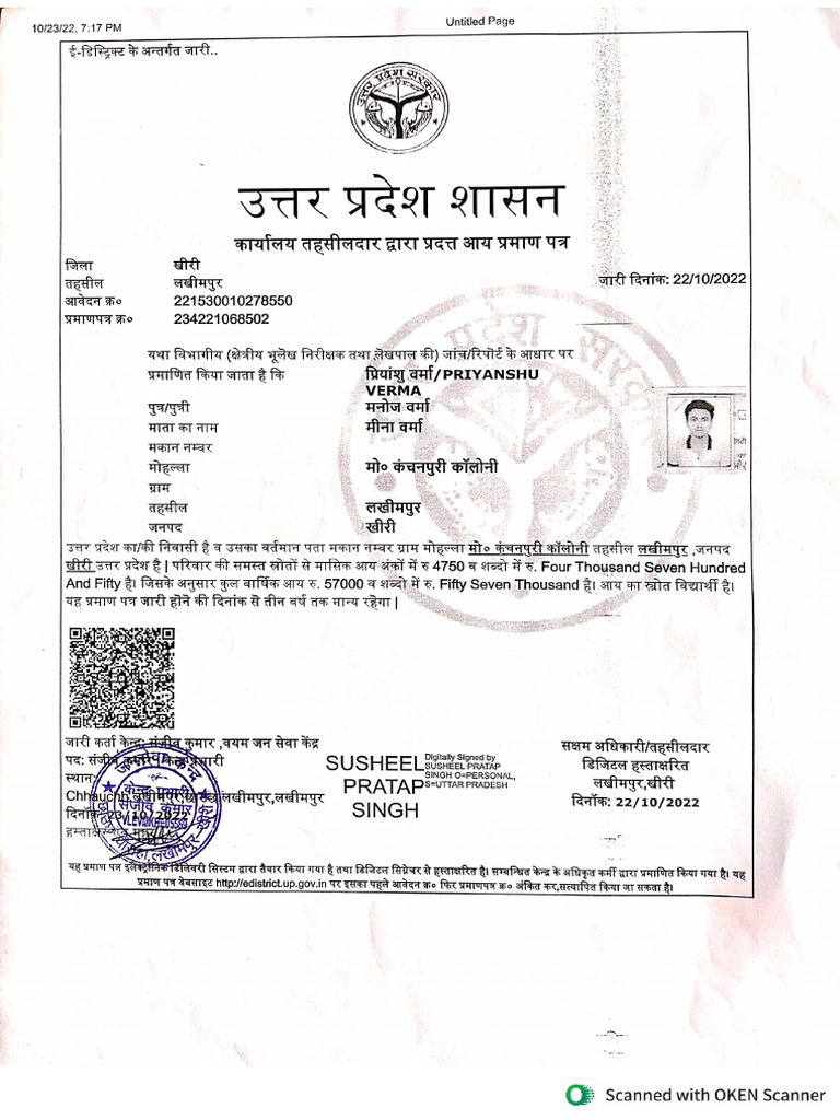 Income Certificate | PDF