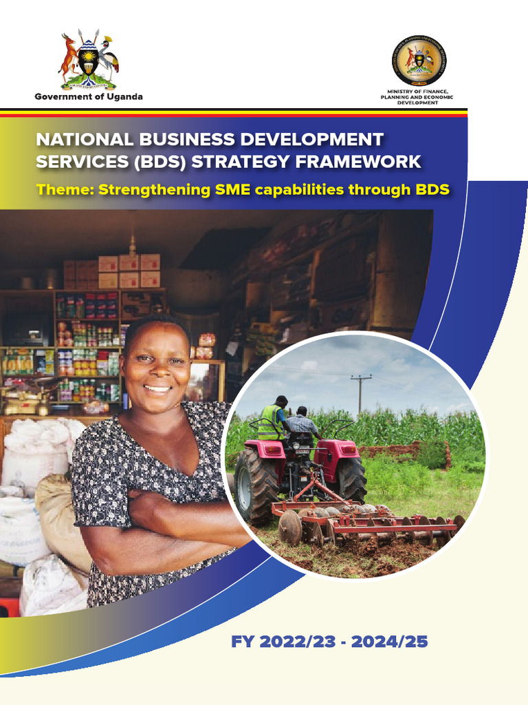 National Business Development Services (BDS) Strategy Framework | PDF | Small And Medium Sized ...