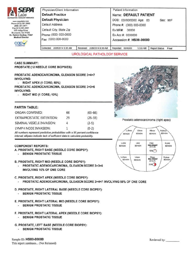 Urological Pathology Sample Report | PDF