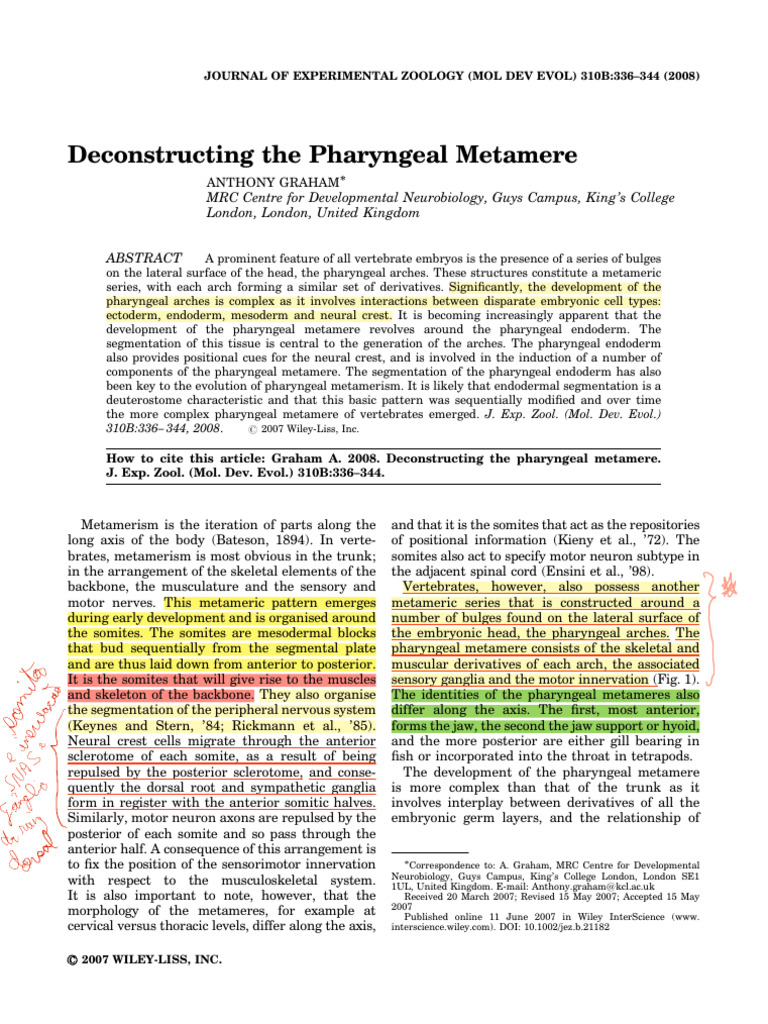 Deconstructing The Pharyngeal Metamere | PDF | Motor Neuron | Nervous ...