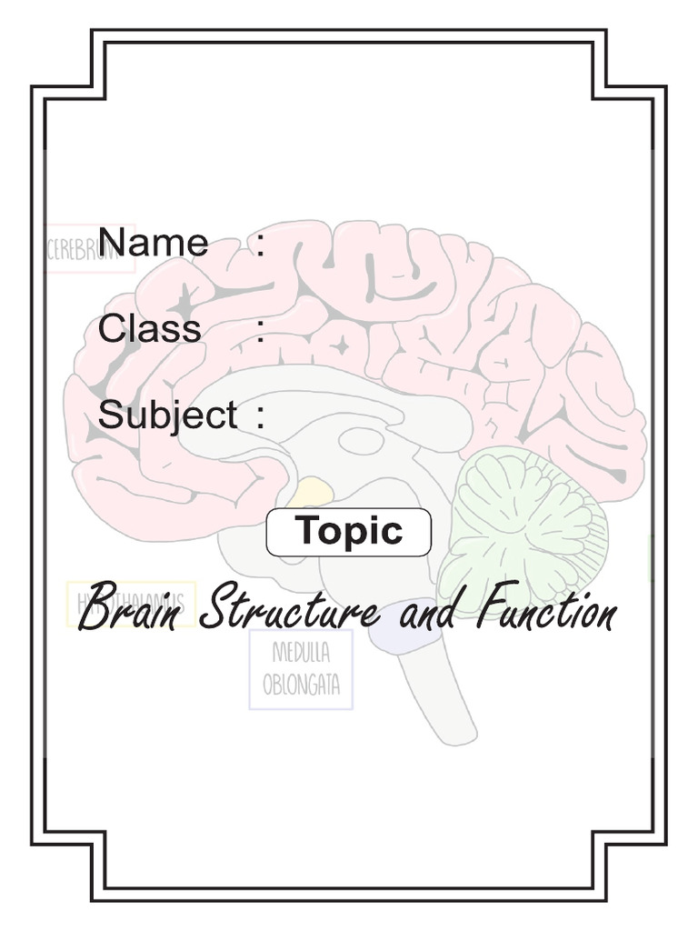 Brain Structure and Function - Project Front Page - 10 STD | PDF