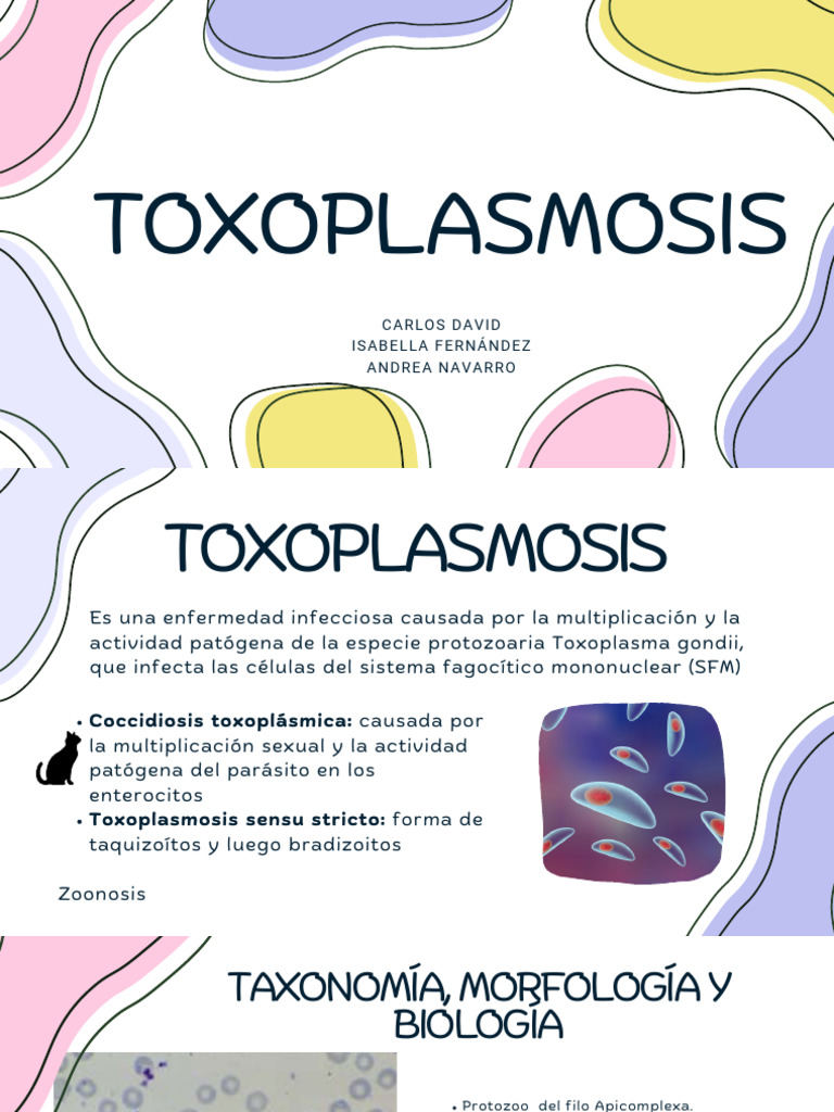 Morfología y Patogenia de Toxoplasma gondii | PDF | Enfermedades y ...