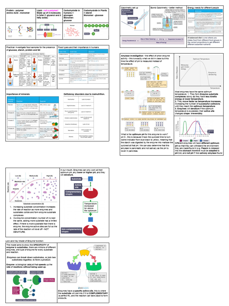 Biological Molecules | PDF | Enzyme | Substrate (Chemistry)