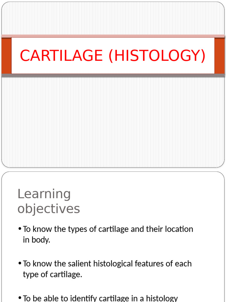 Cartilage Histology Overview | PDF | Cartilage | Extracellular Matrix