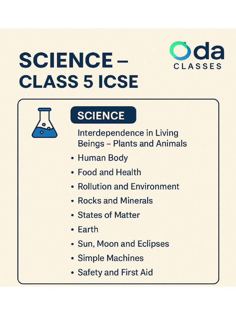 Grade 05 Icse | PDF