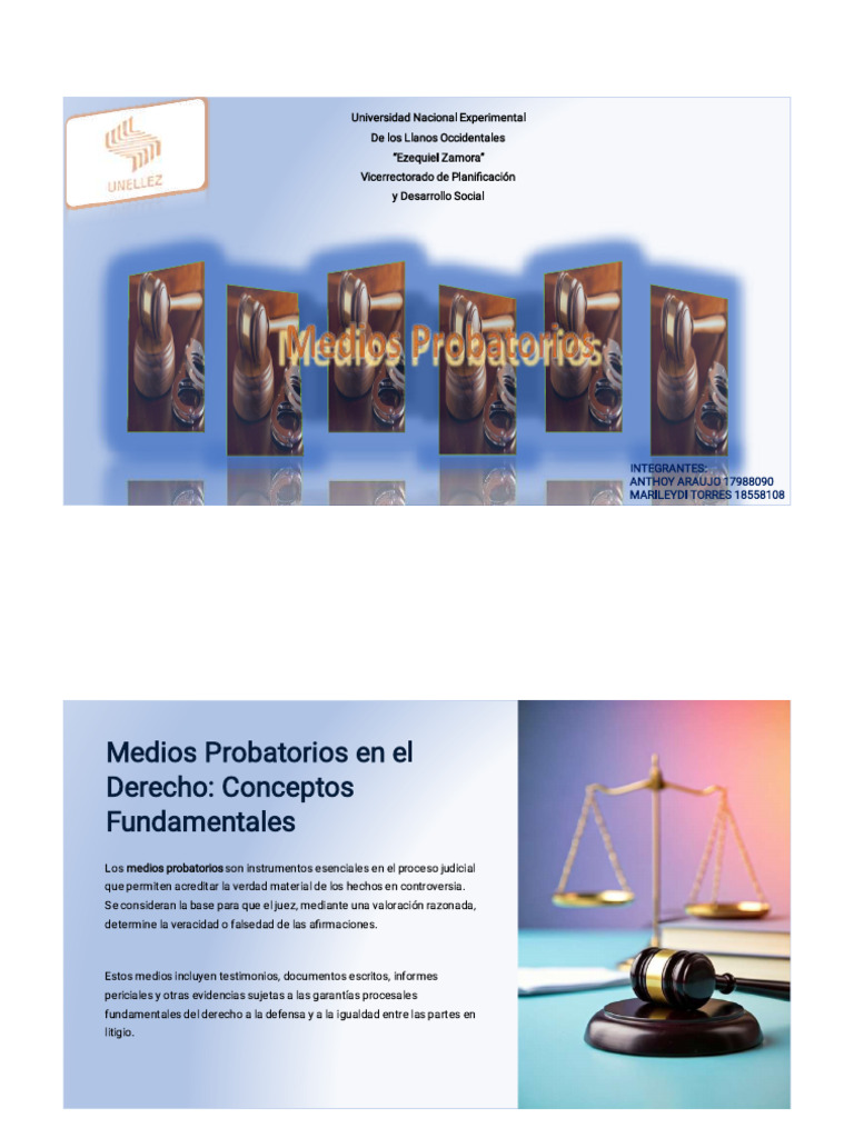 Pdf. Medios Probatorios | PDF | Debido al proceso | Ley procesal