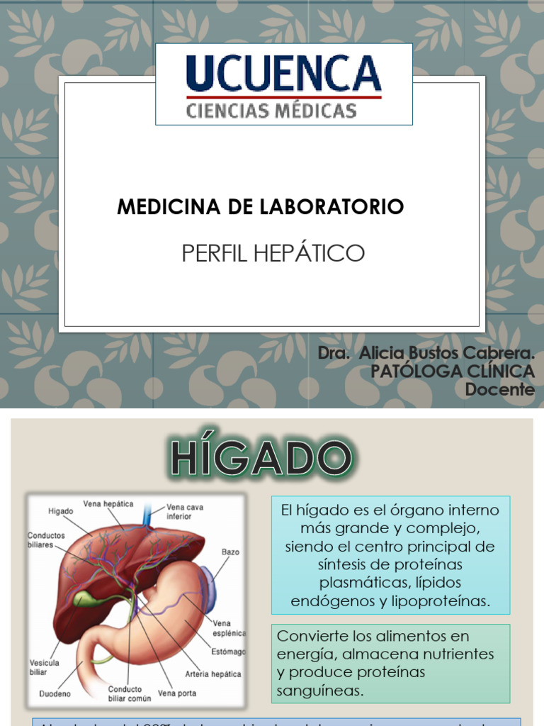 PRESENTACION SOBRE Perfil Hepático MEDICINA | PDF | Transaminasa ...