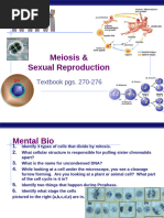 Video Recap of Meiosis by Amoeba Sisters Updated Pictures | PDF | Meiosis | Chromosome