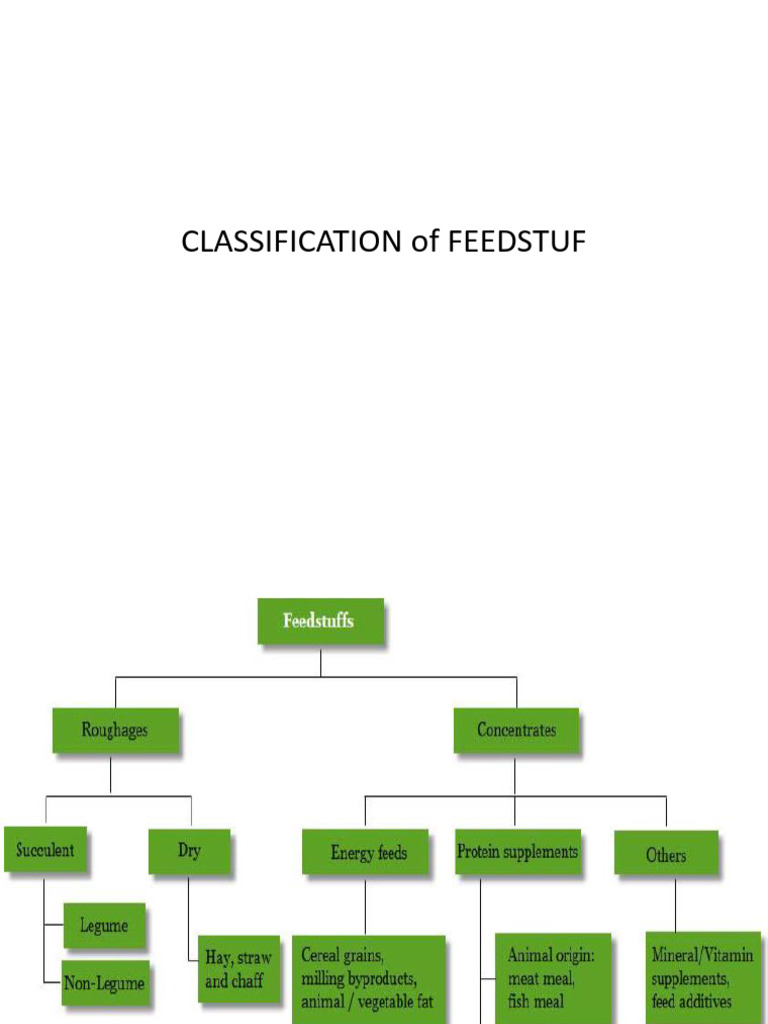 Classification of Feedstuff | PDF