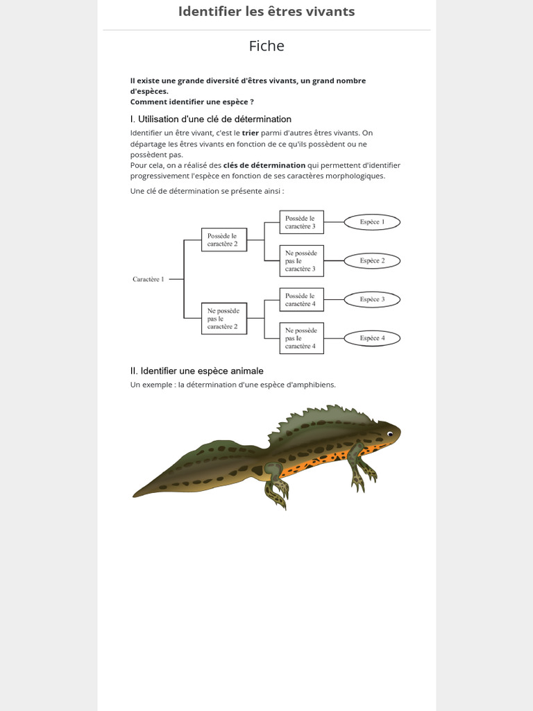 Identifier Les Êtres Vivants - Fiche Exercises | PDF | Espèces | Biologie