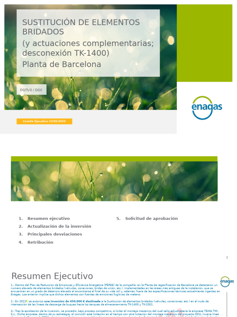 Ampliación Sustitución de Elementos Bridados Rev0 | PDF