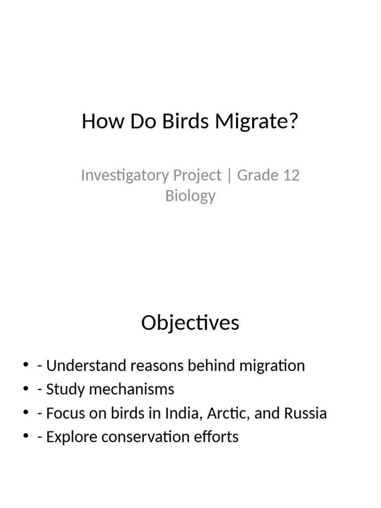 How Do Birds Migrate Presentation | PDF