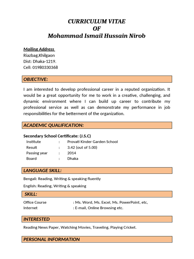 Ismail CV | PDF