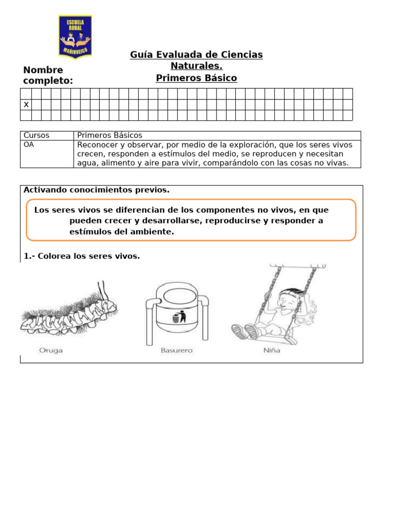 Guia Evaluada Seres Vivos | PDF