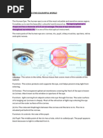 Grade 12 Life Science The Eye | PDF | Eye | Myopia
