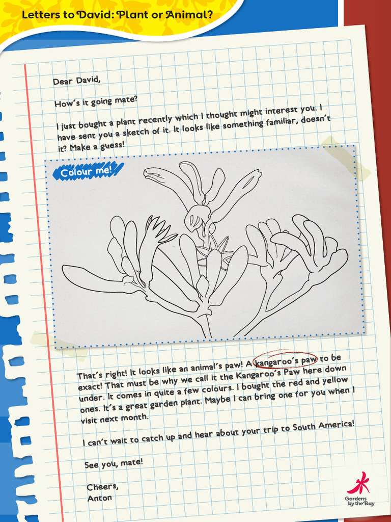 Letters To David Plant or Animal | PDF