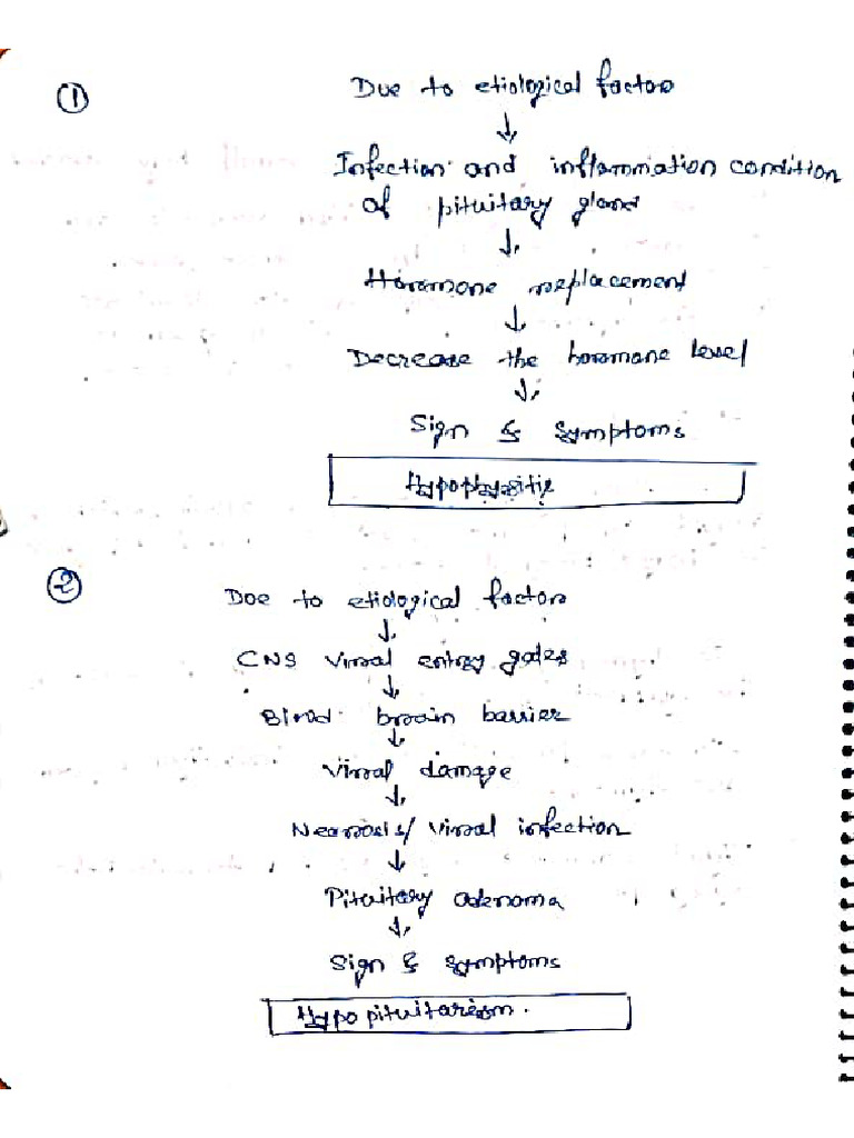 Path o Physiology | PDF