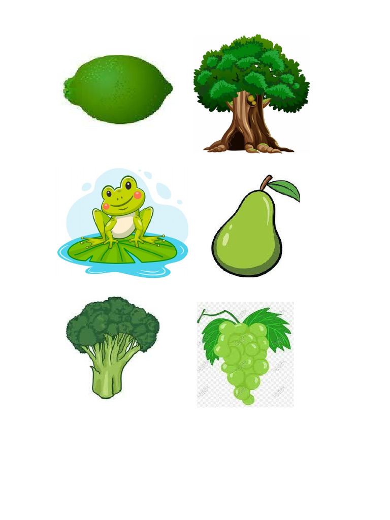 objetos verdes | PDF