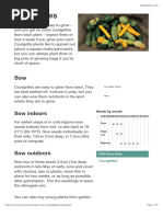 Carrots | PDF | Carrot | Agriculture