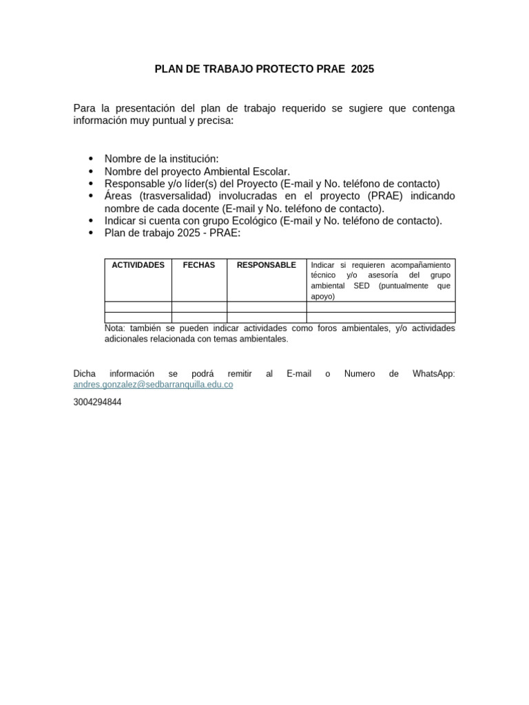 Plan de Trabajo Proyecto Prae 2025 | PDF