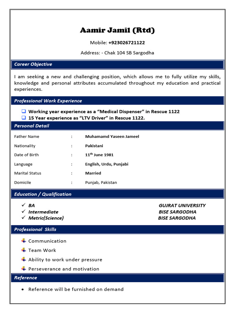 Aamir Jameel Resume | PDF