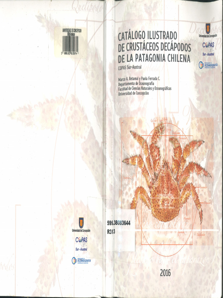 Catalógo Ilustrado de Crustaceos Decapodos | PDF