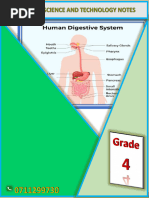 SCIENCE AND TECHNOLOGY GRADE 4 NOTES-New | PDF | Lever | Digestion