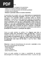 João da Ega: O Irreverente dos Maias | PDF
