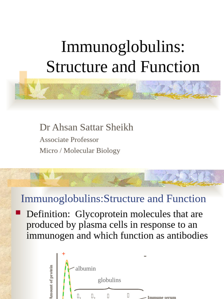Ig Structuer and Functionsb VV Import | PDF | Antibody | Immunoglobulin G