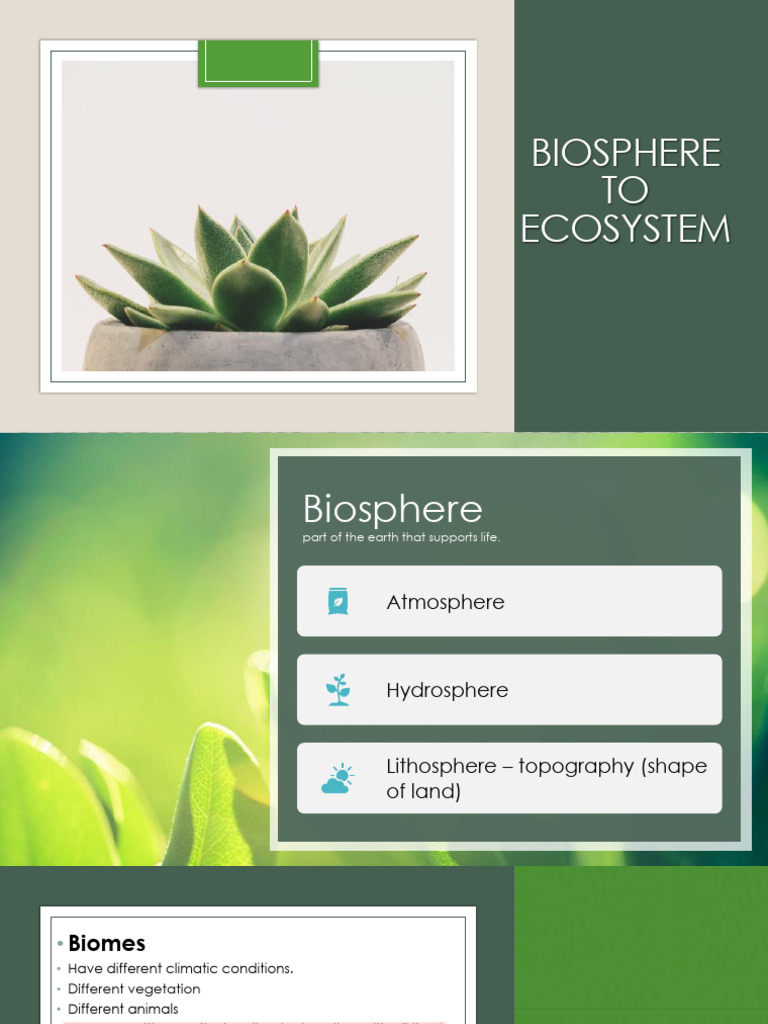 Understanding Biomes and Ecosystems | PDF | Food Web | Soil