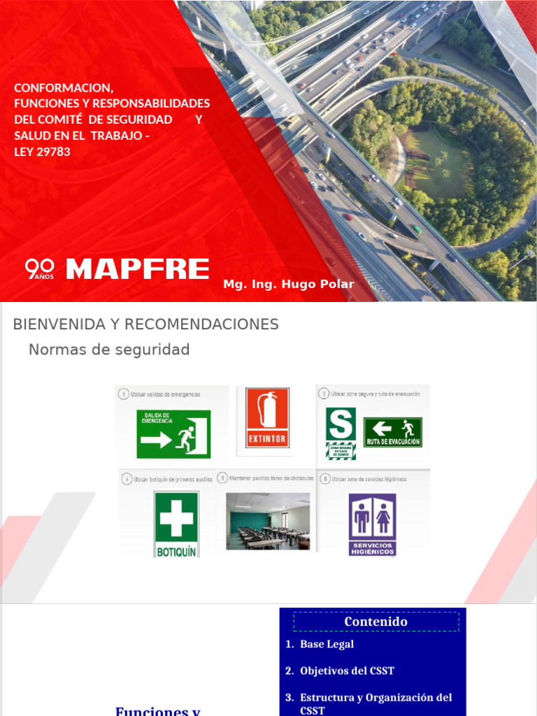 Funciones Del Comite de SST | PDF | Seguridad y salud ocupacional | Elecciones