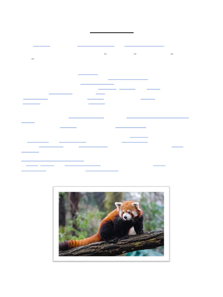 Red Pandas | PDF