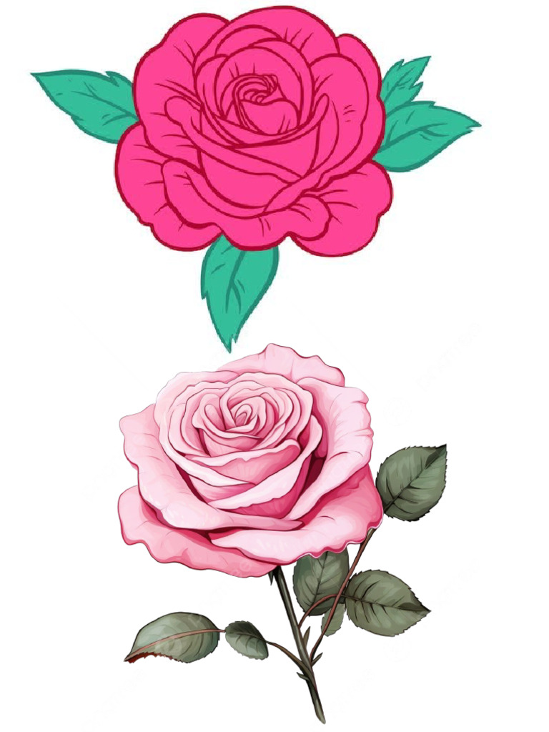 Rosas Imagenes Delos Tipos de Rosas Que Existen | PDF