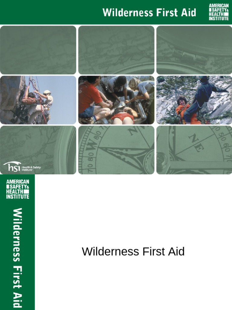 Wilderness First Aid G2010.2 | PDF | Thorax | Burn