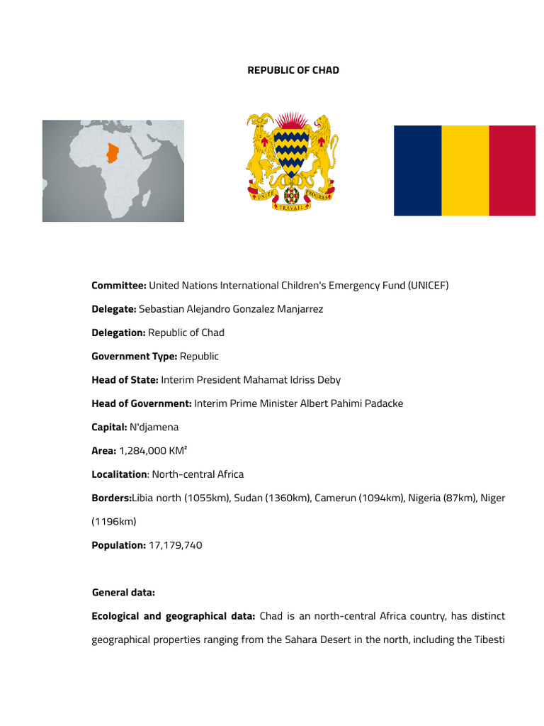 Poition Paper Republic of Chad | PDF | Chad | Gaza Strip