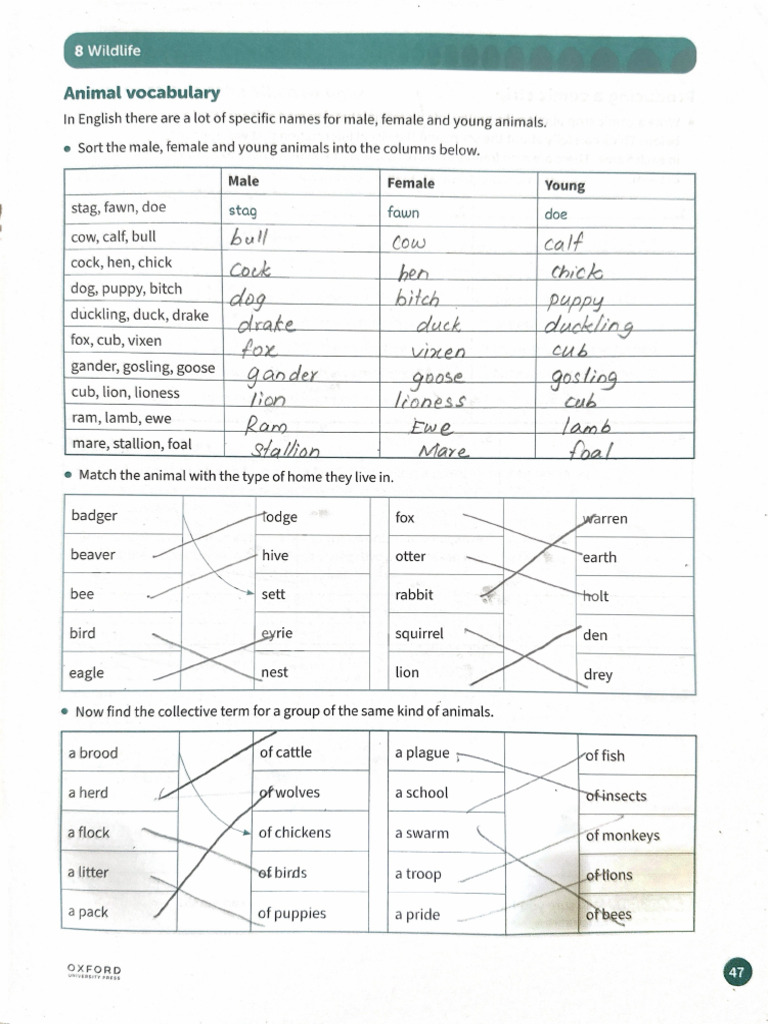 Unit 8 Workbook Answers - 1 | PDF