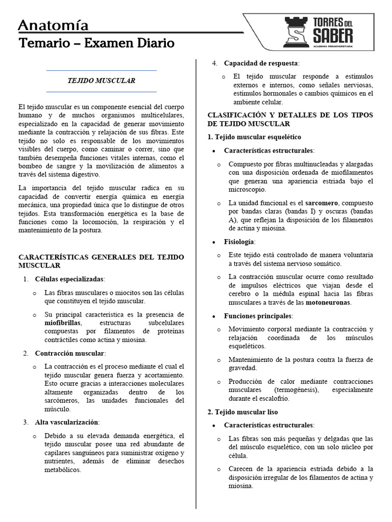 Anatomia - Sem 2 | PDF | Digestión | Músculo