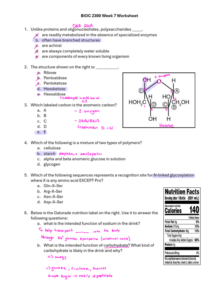 Week 8 - Carbohdrate Worksheet | PDF | Carbohydrates | Biochemistry