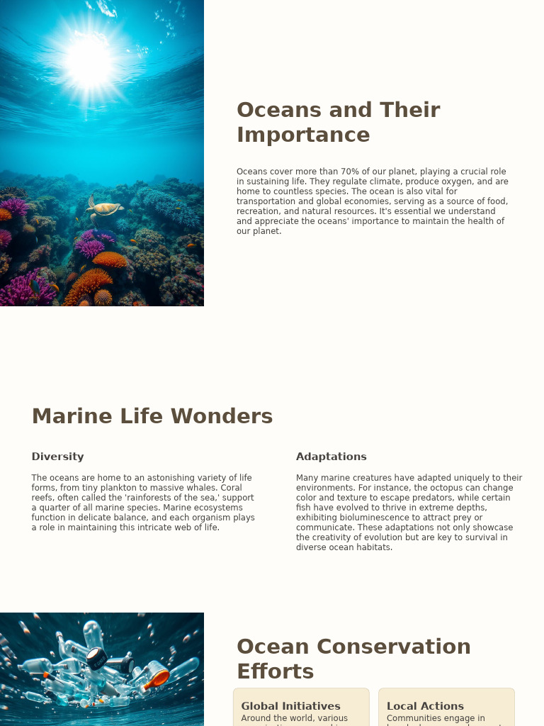 Importance of Oceans and Conservation | PDF | Oceans | Sustainability