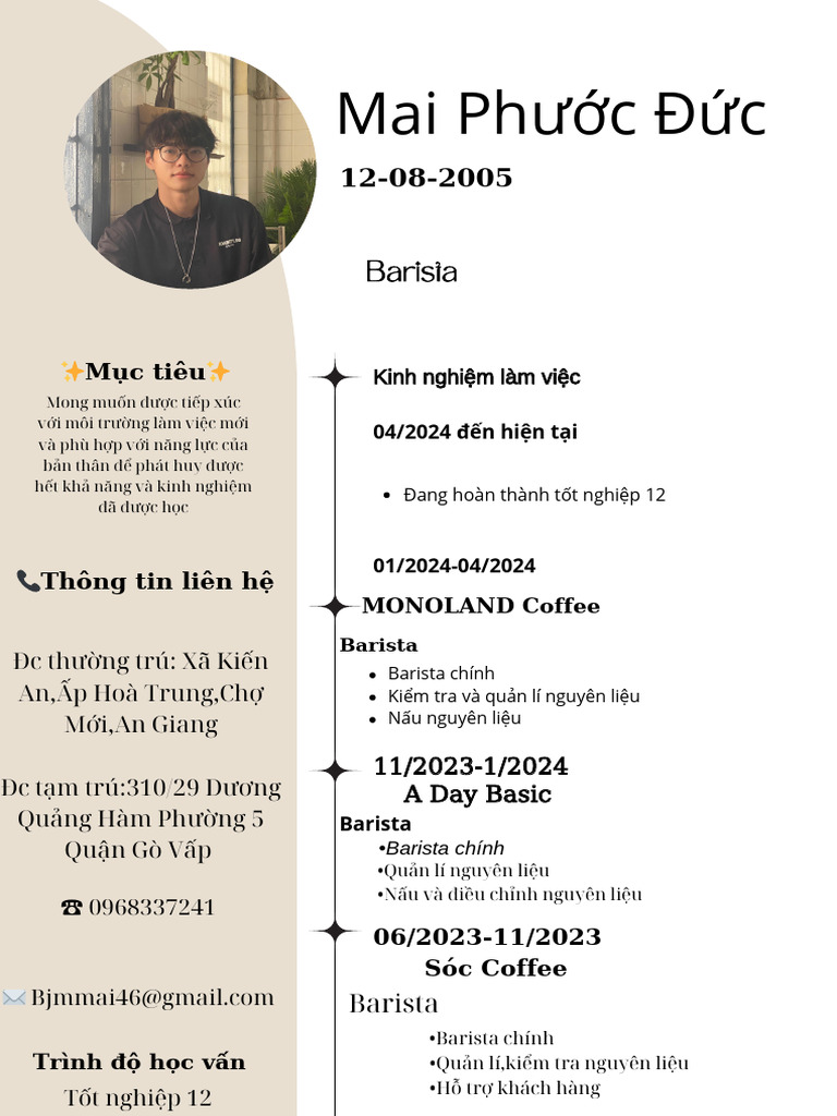 Mai Phước Đức's CV | PDF